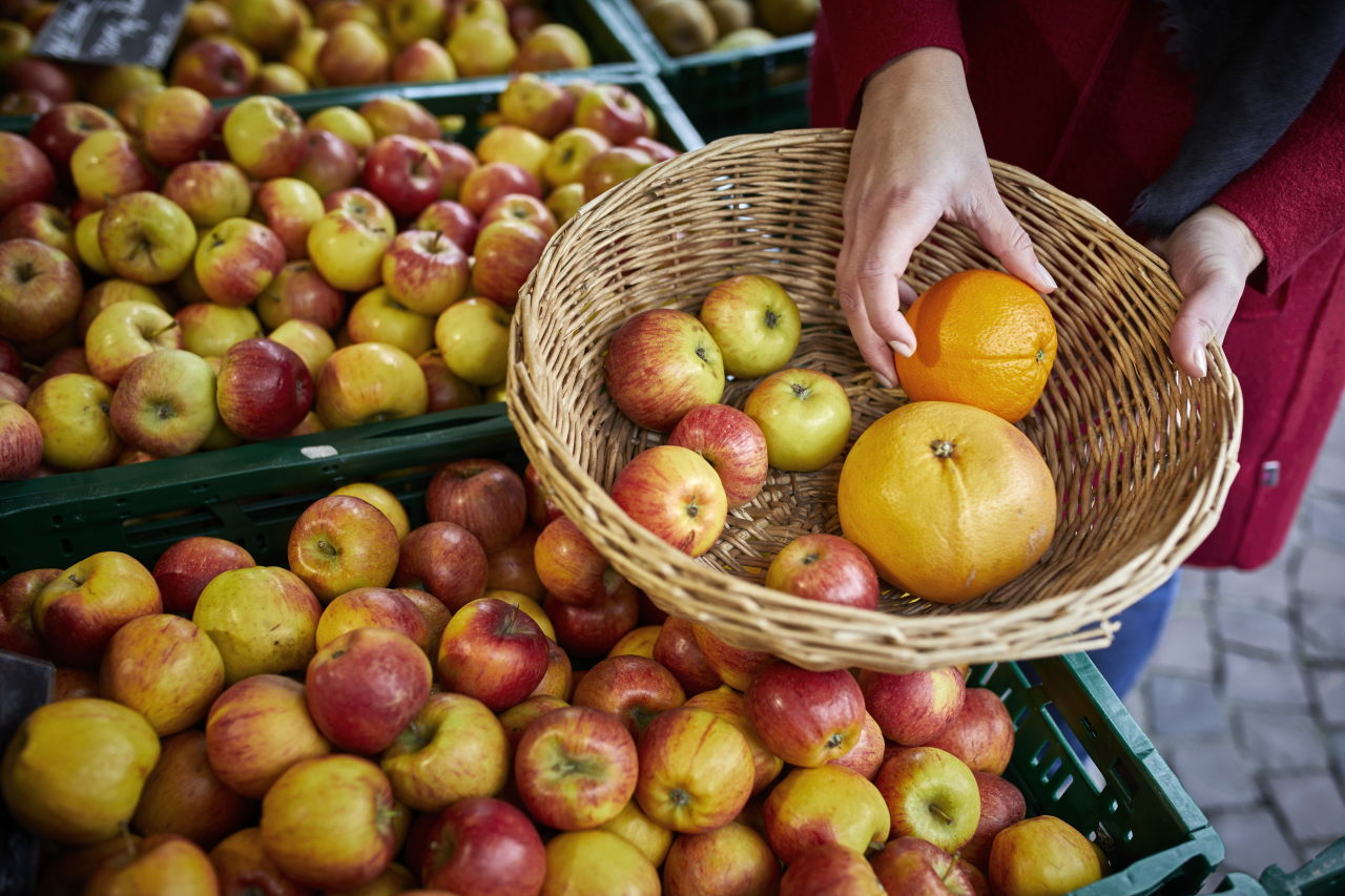 Ernährungserziehung auf dem Bonner Wochenmarkt – 21.09.2022 – Bonn.Market
